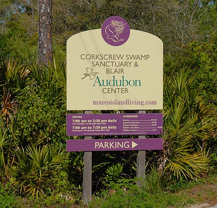 Corkscrew Swamp Sanctuary - Paradise Coast Living